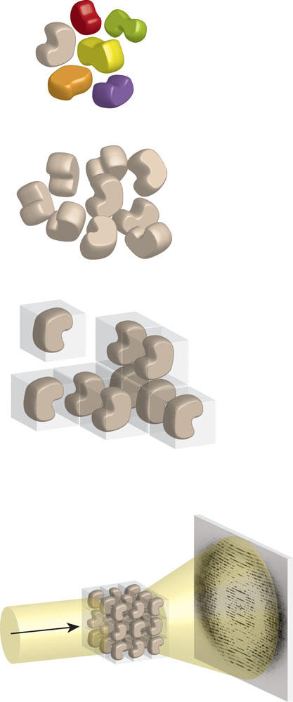 How to see a protein – GROW magazine