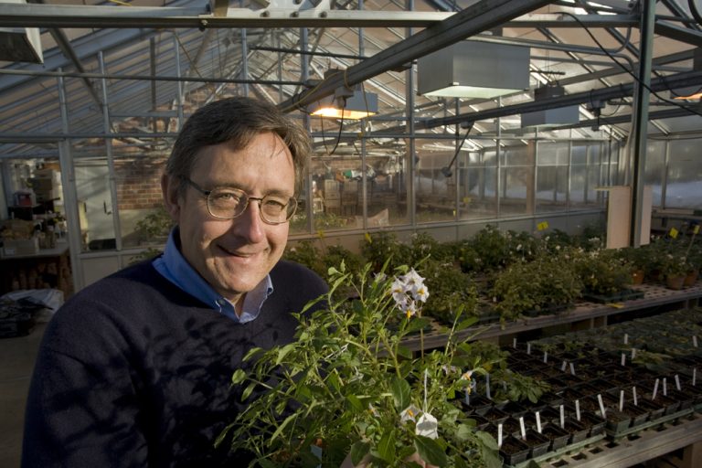 In Search of Spuds – GROW magazine