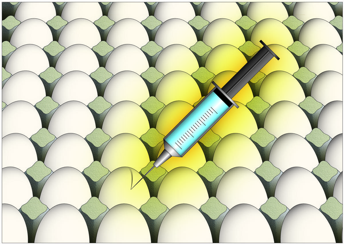 How to make a flu vaccine – GROW magazine