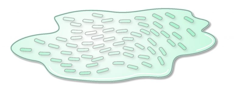 How bacteria move – GROW magazine