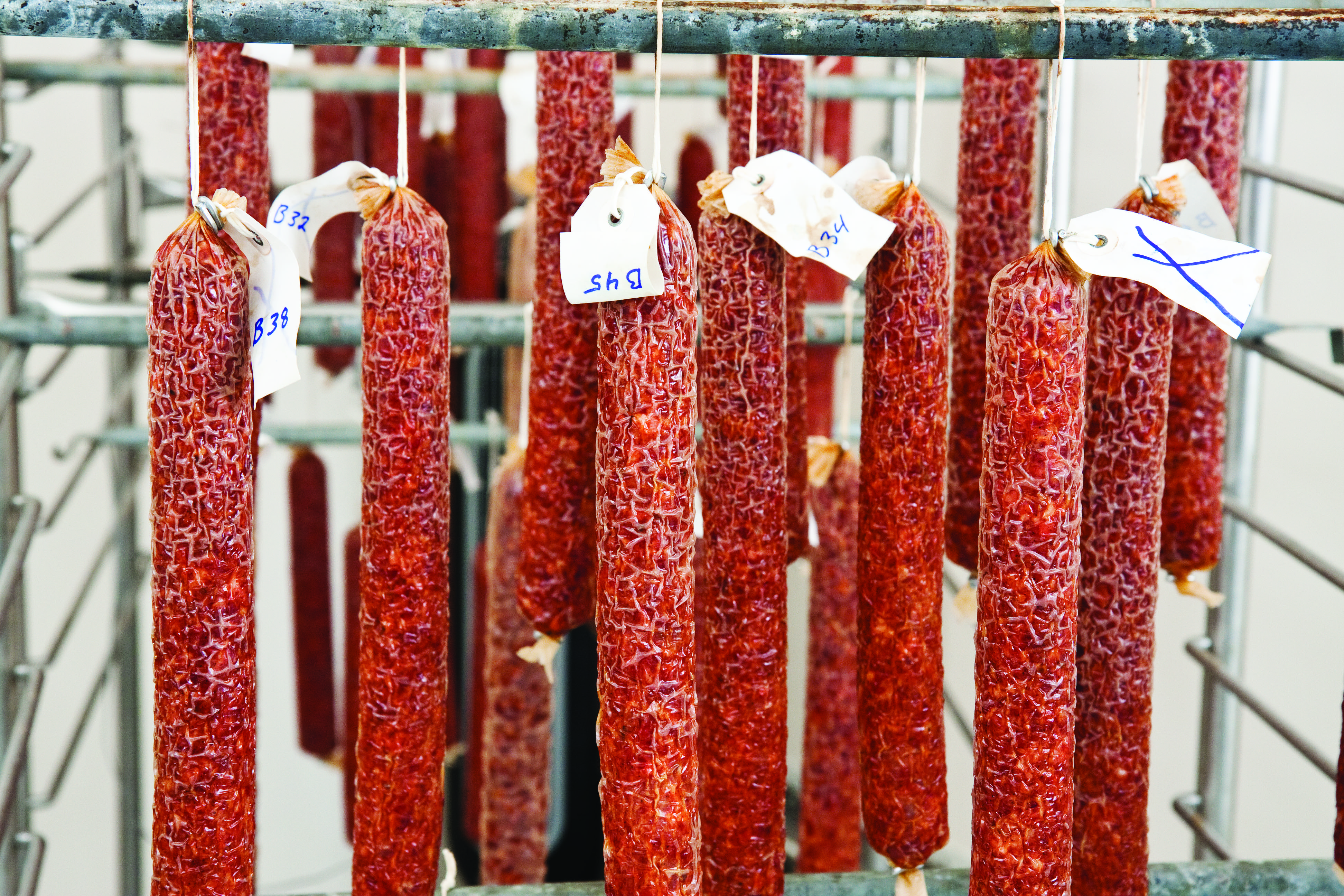 Russia: Sausage Makers Find Spice in New Business – GROW magazine