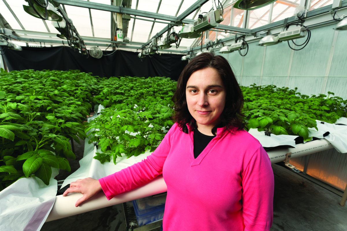 Desert Spuds – GROW magazine