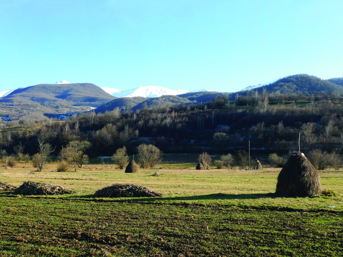 Rebuilding from the Ruins – GROW magazine