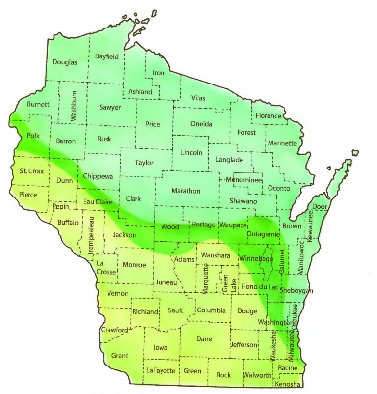 Five things everyone should know about . . . The Tension Zone – GROW ...