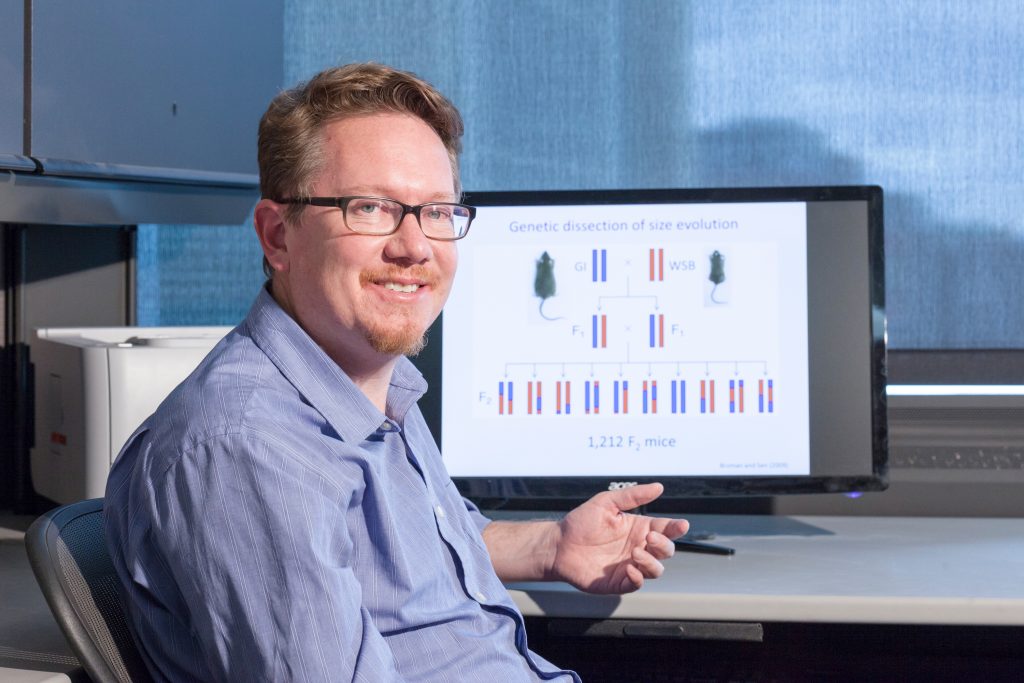 Island of Giant Mice – GROW magazine