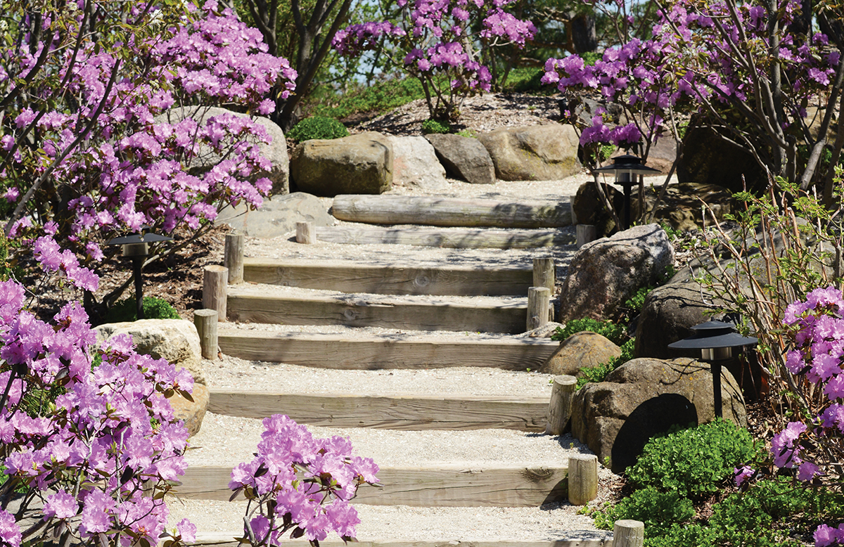 Green Therapy – GROW magazine