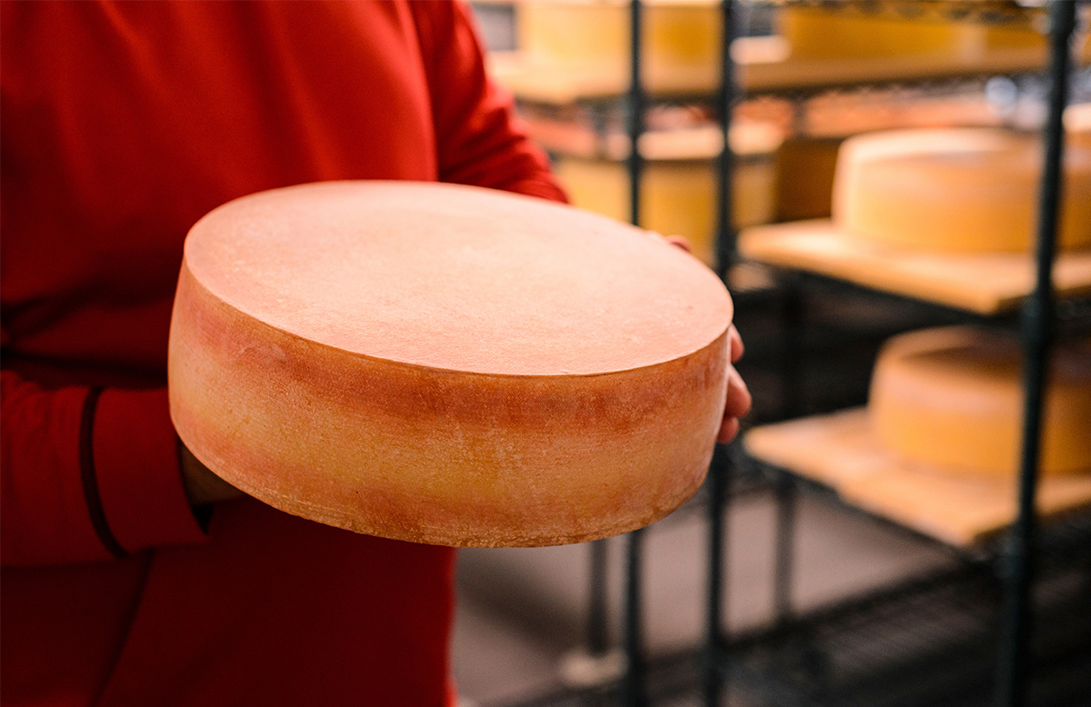 A Tale of Two Cheeses – GROW magazine