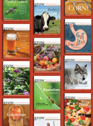 Survey on the Future of Grow – GROW magazine