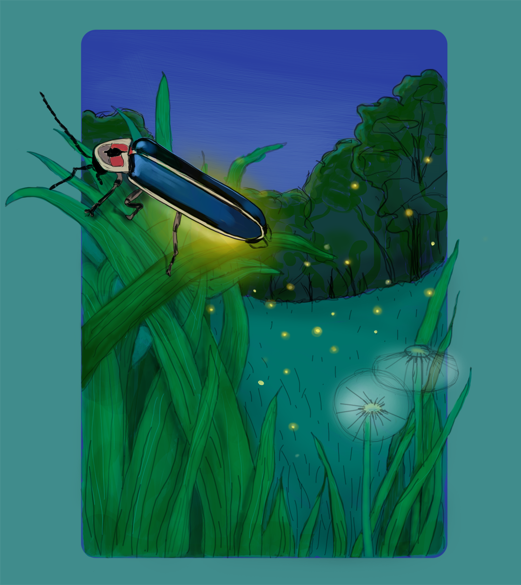 Five things everyone should know about … Fireflies – GROW magazine