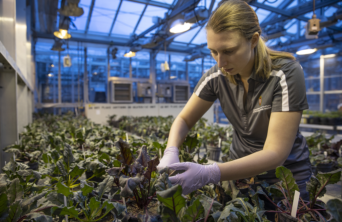A Different Beet – GROW magazine