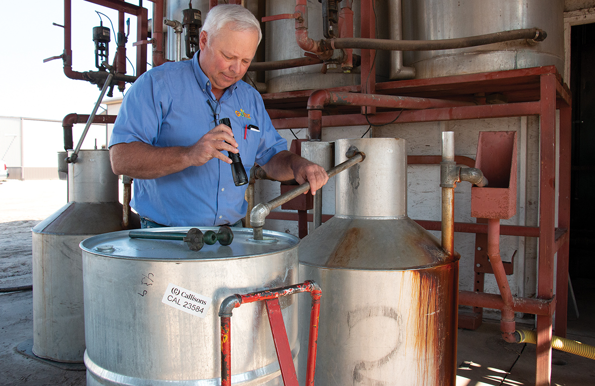 Minty Fresh – GROW magazine