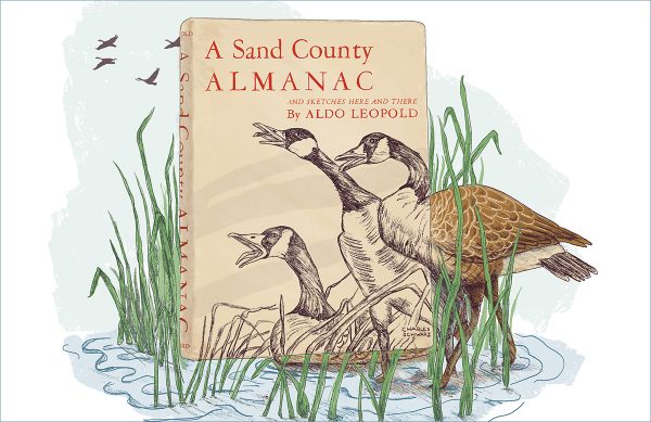 Five things everyone should know about . . . A Sand County Almanac ...
