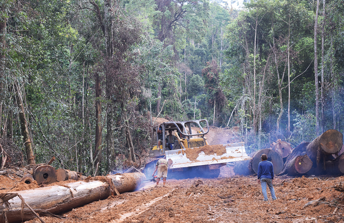 Borneo and Papua New Guinea | The Sounds of Biodiversity – GROW magazine