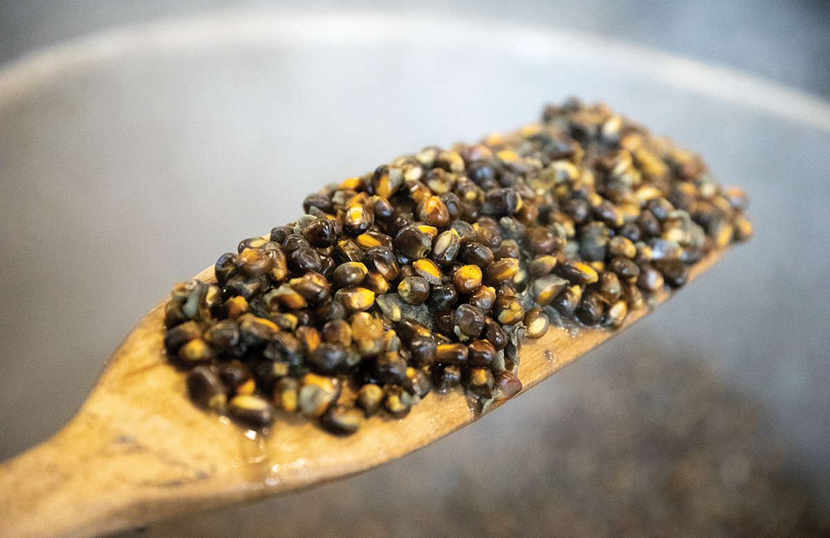 How the Seeds of Heritage Are Sown – GROW magazine