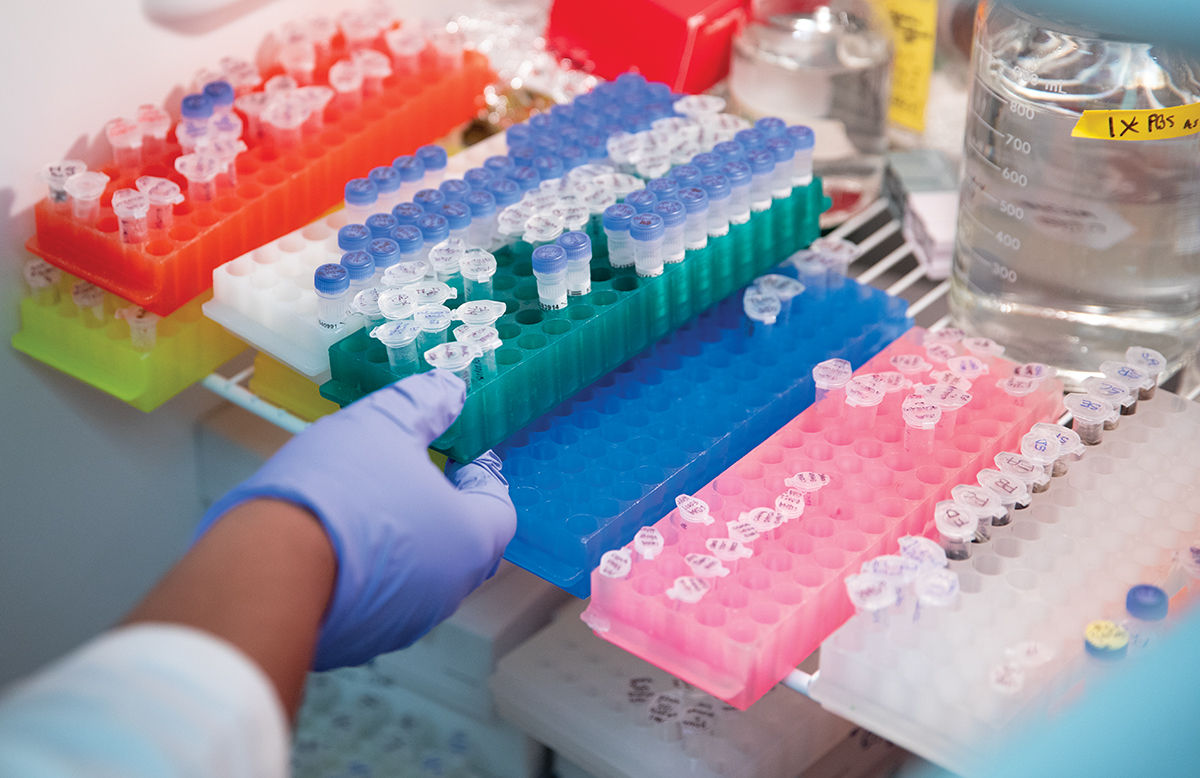 Research Early, Research Often — and Reap the Benefits – GROW magazine