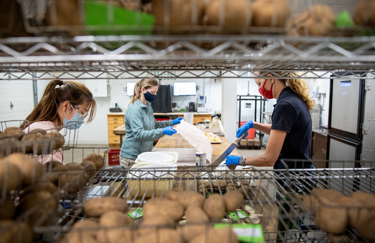 The New Frontiers of Potato Tech – GROW magazine