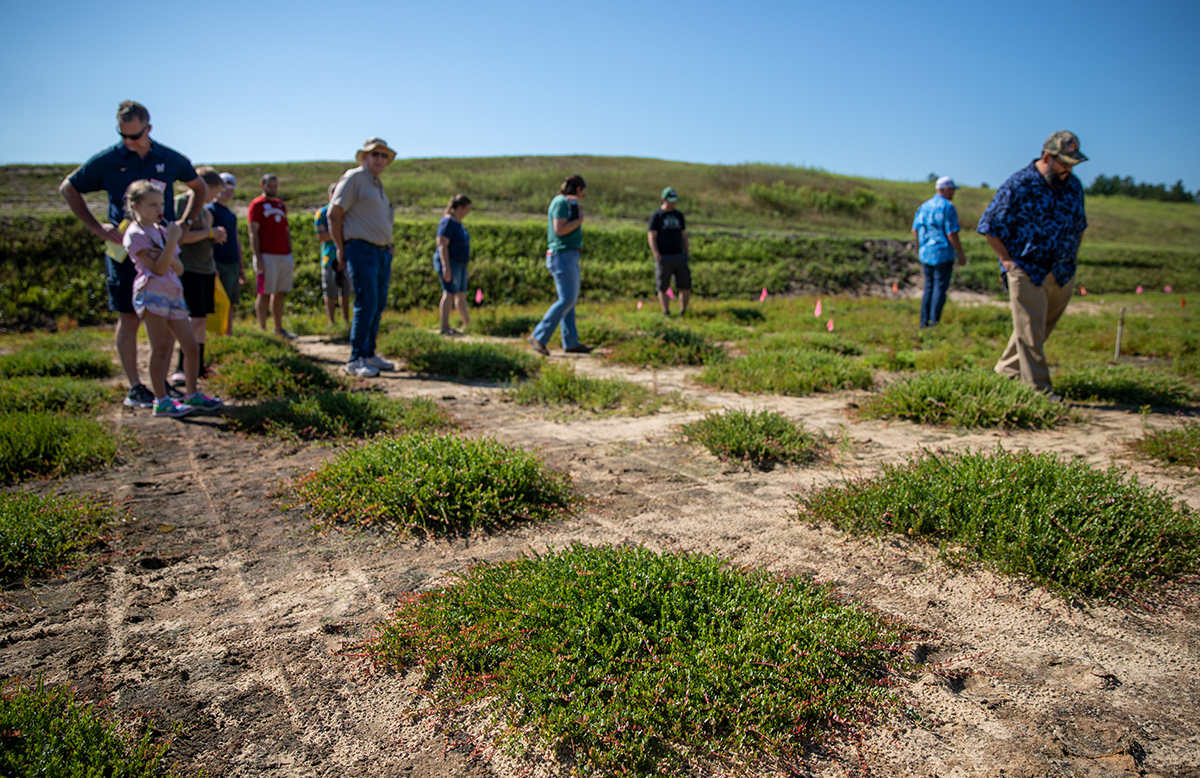 Cold Hard Science in the Heart of Cranberry Country – GROW magazine
