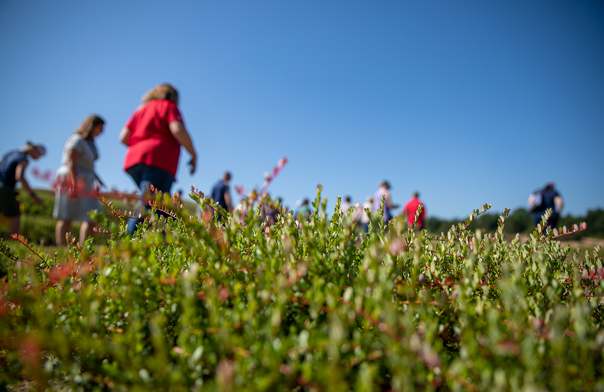 Cold Hard Science in the Heart of Cranberry Country – GROW magazine