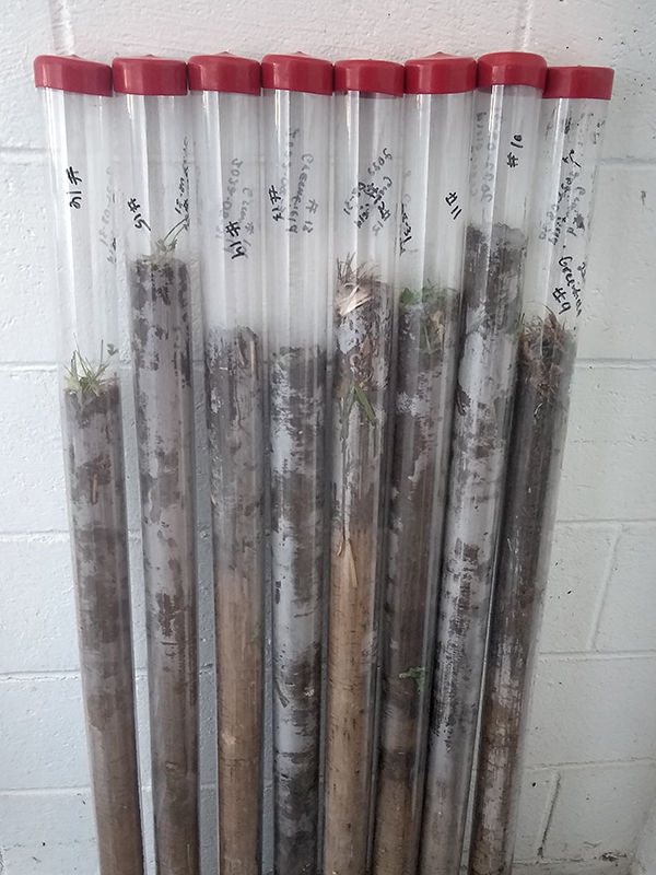 Can Farms Pull Carbon from Sky to Soil? – GROW magazine