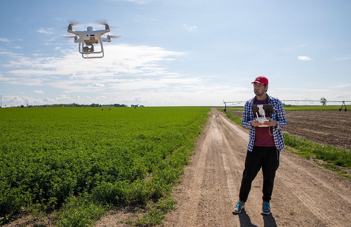 The Evolution of the Agricultural Research Stations – GROW magazine