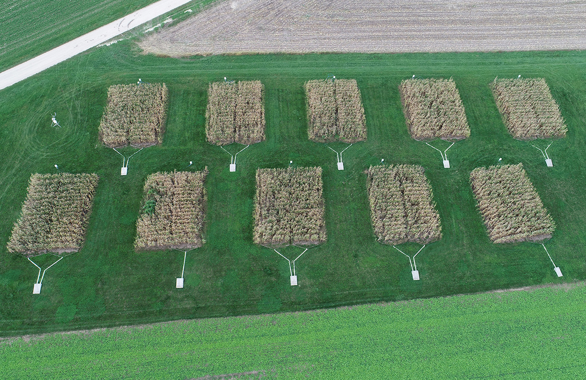 The Secrets of Cold Weather Soil Unearthed – GROW magazine