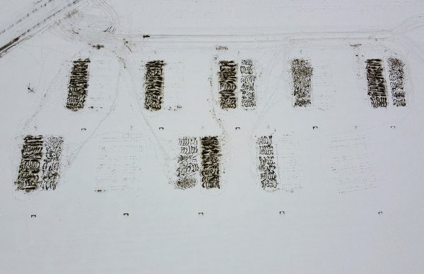 The Secrets of Cold Weather Soil Unearthed – GROW magazine