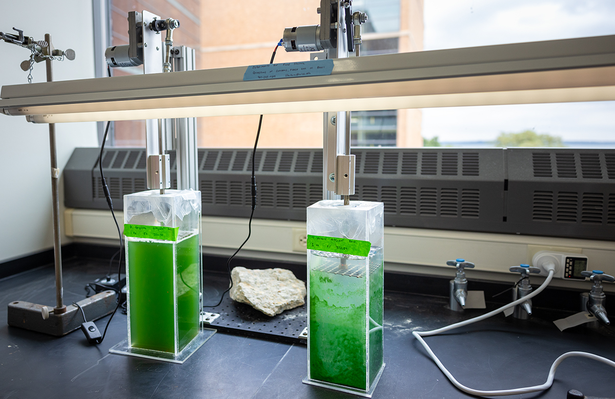 The Landfill Lady, Hungry Microbes, and Leaping the Valley of Death ...