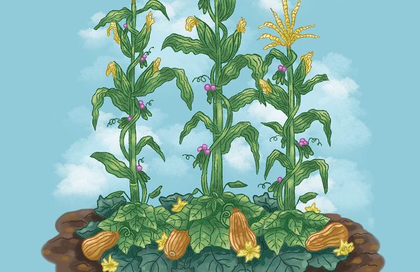 Five Fascinating Facets of the Indigenous ‘Three Sisters’ Cropping ...